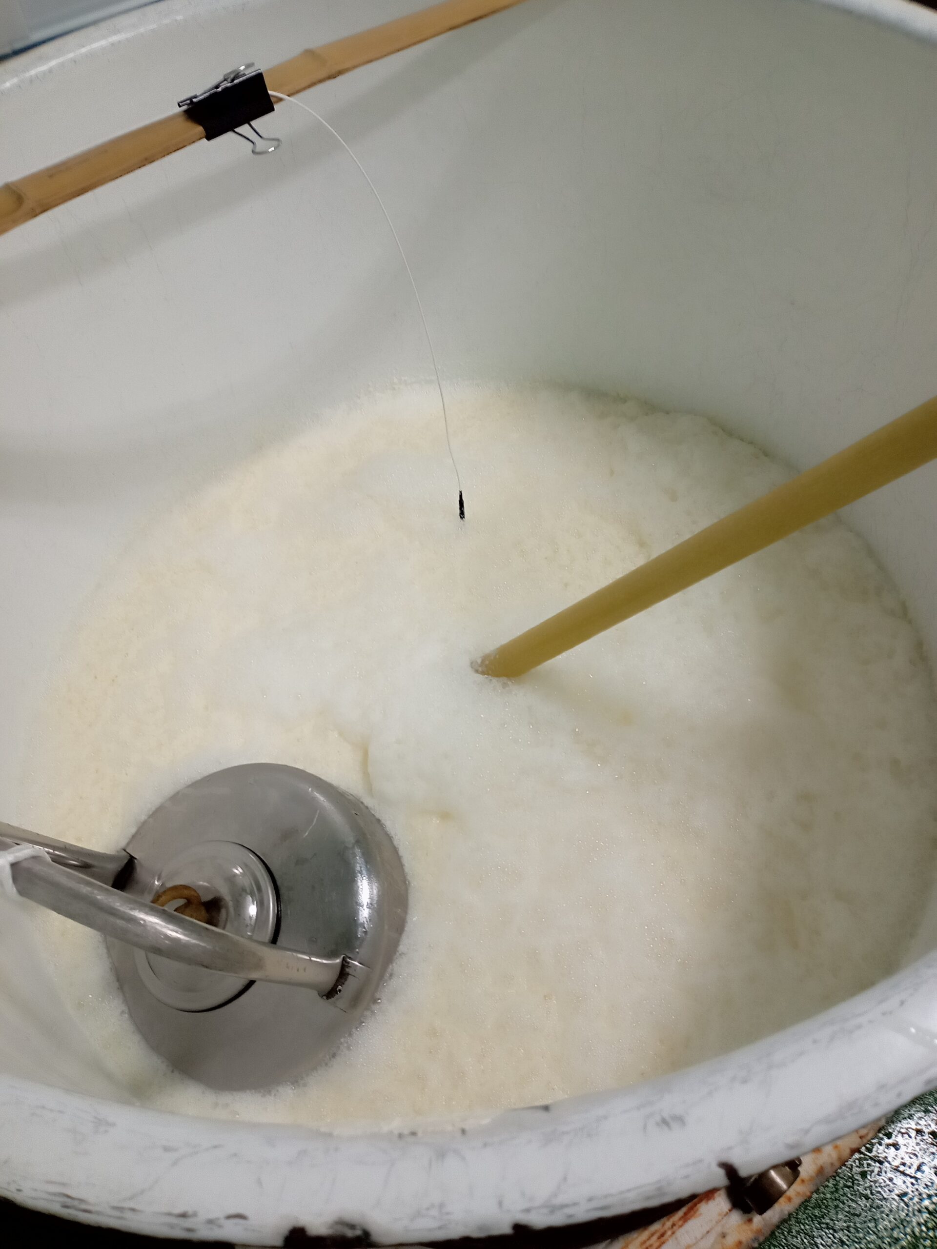 酒母造りのための酒米の蒸かし、麹造りが始まりました。 春鶯囀（しゅんのうてん） 日本酒 製造・販売 | 萬屋醸造店 | 山梨県富士川町